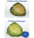 Classic Combo Pack Produce Saver – Bluapple