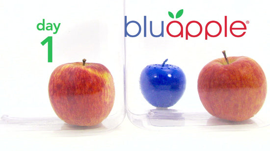 Classic 15-Month Bundle – Bluapple